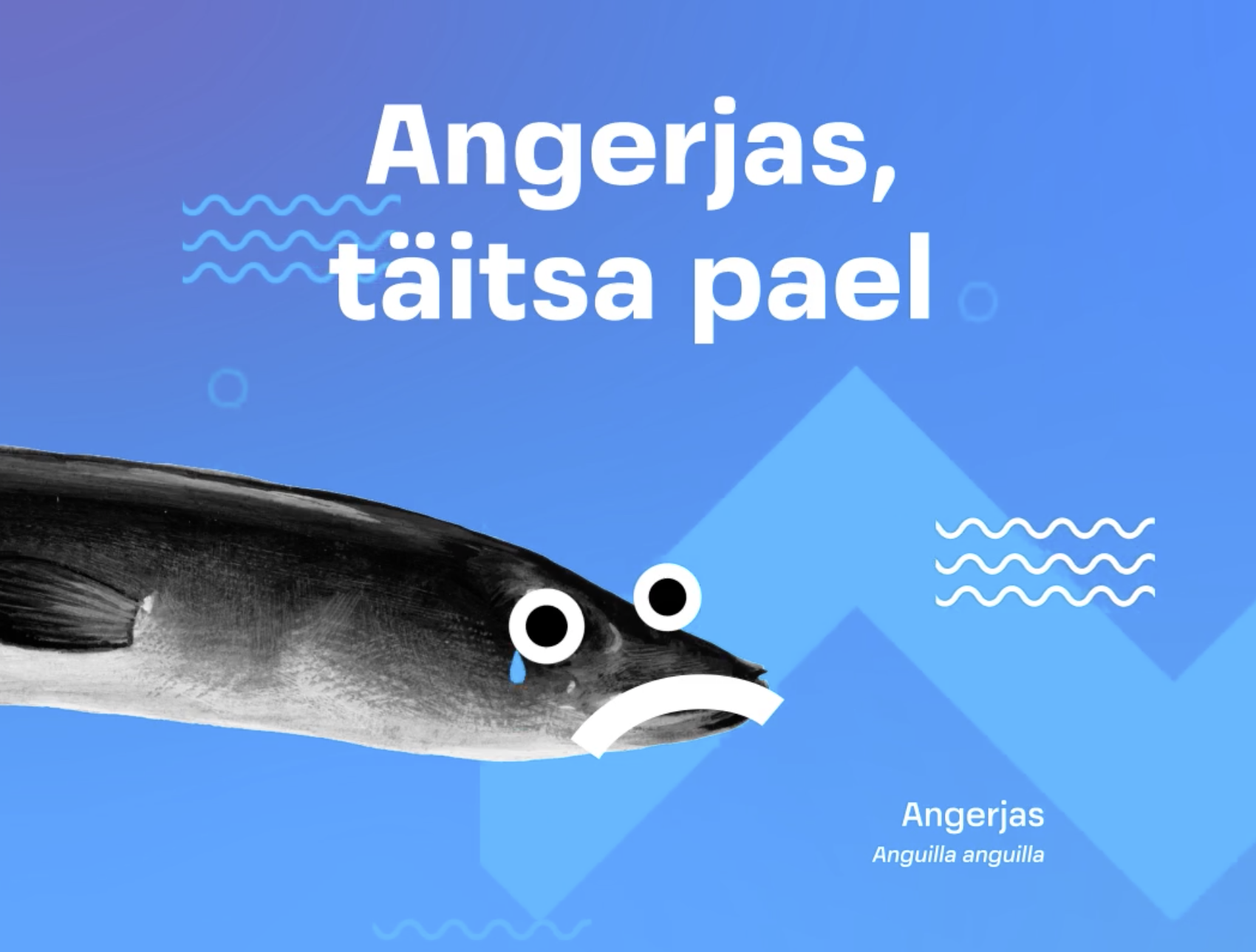 Kriitilises seisus angerjas vajab kaitsestaatust - Viimsi Uudised